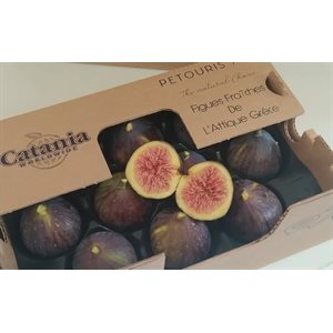 Fresh Fruit and Vegetables