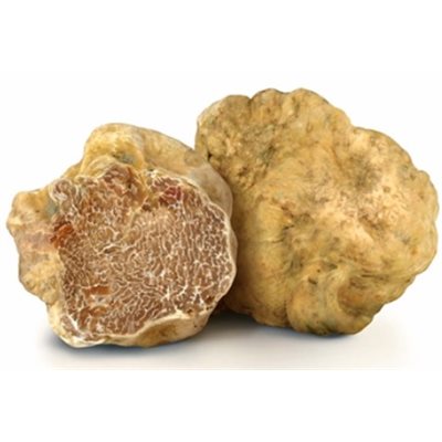 Fresh Italian White Truffles